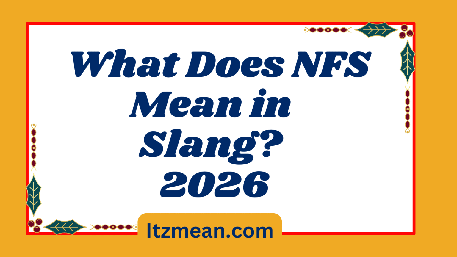What Does NFS Mean in Slang? 2026