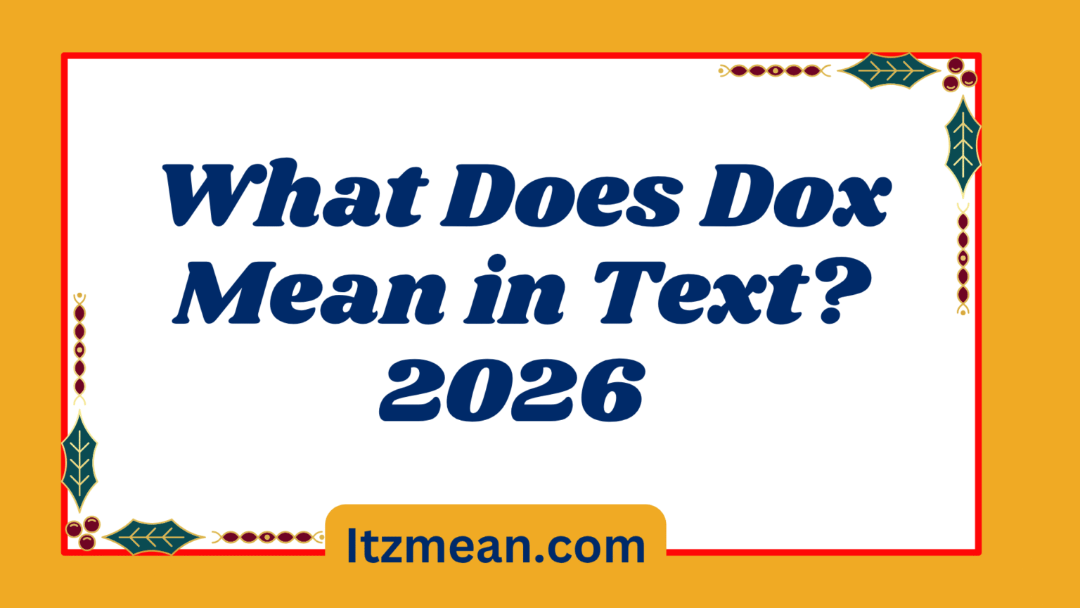 What Does Dox Mean in Text? Real Meaning, Examples & Social Media Use2026